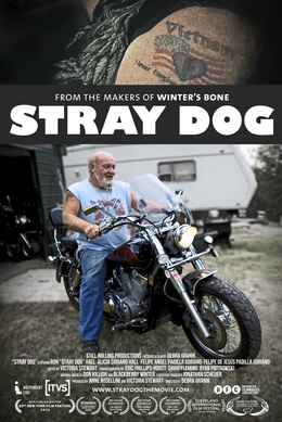 straydogmini | Keeping It Reel